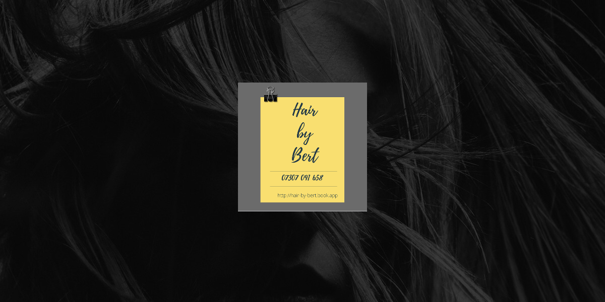 Hair by Bert